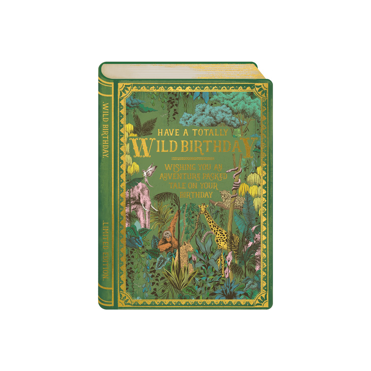 Storybook Wild Birthday Card– The Paper Parlour